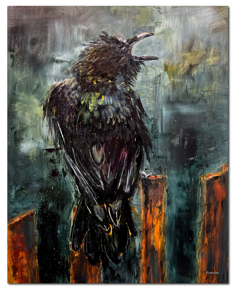 Night Raven II – Kathy Morawiec Contemporary Artist